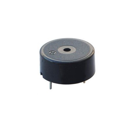 Buzzer 12-24 Volt 23mm Devreli